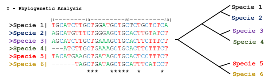 3.7 Sequence Alignment - Biodata Science