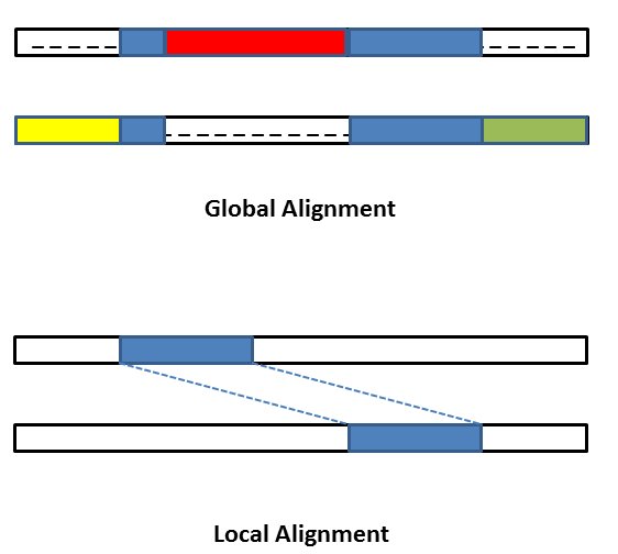 3.7 Sequence Alignment - Biodata Science