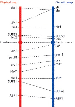 3.8 Genome Mapping - Biodata Science