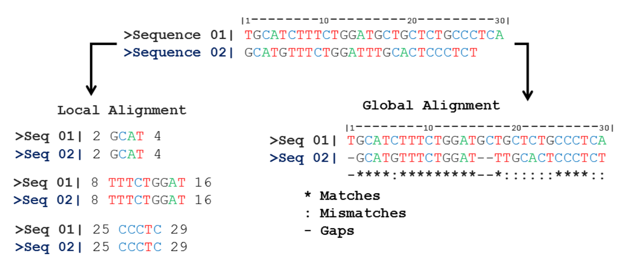3.7 Sequence Alignment - Biodata Science